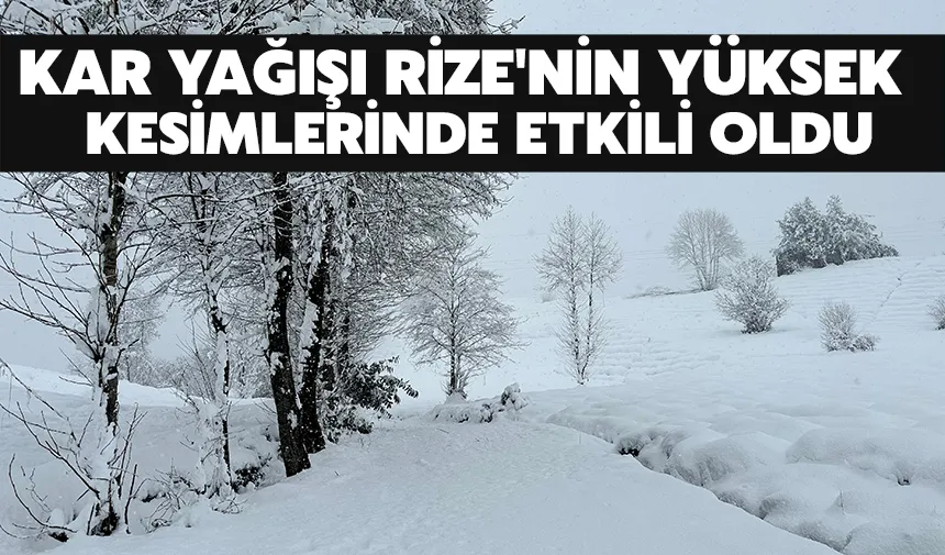 Kar yağışı rize'nin yüksek kesimlerinde etkili oldu